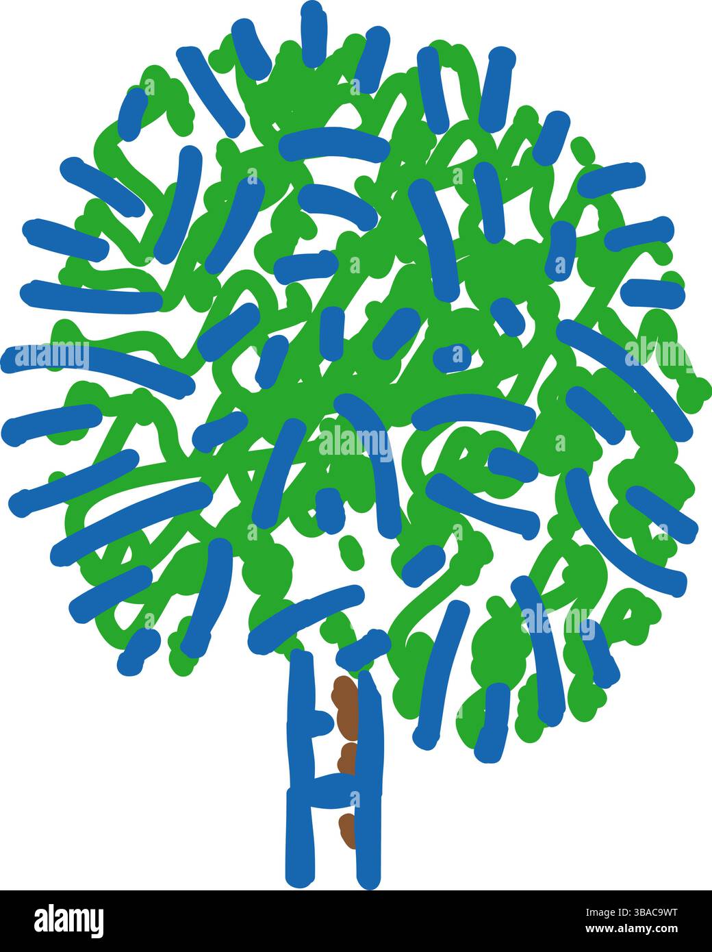 Cabbage tree forest Stock Vector Images - Alamy