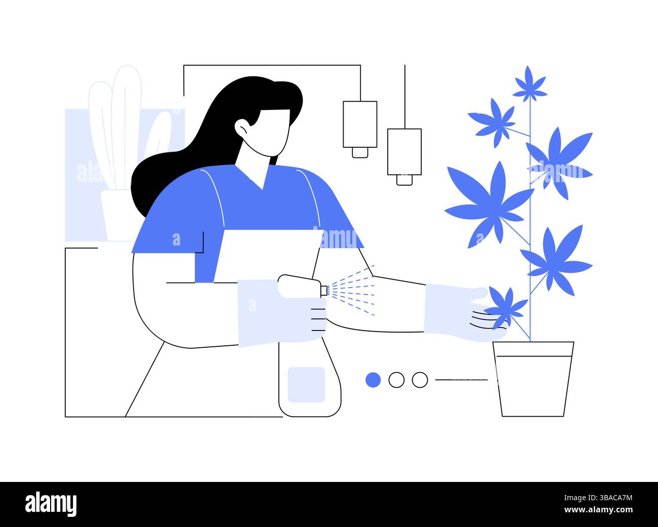 Cannabis plant indoor Cut Out Stock Images & Pictures - Alamy