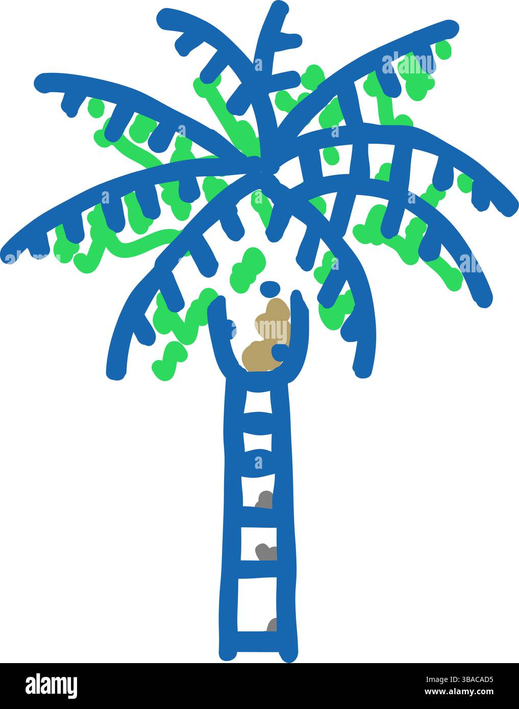 queen palm tree icon doodle illustration Stock Vector Image & Art - Alamy