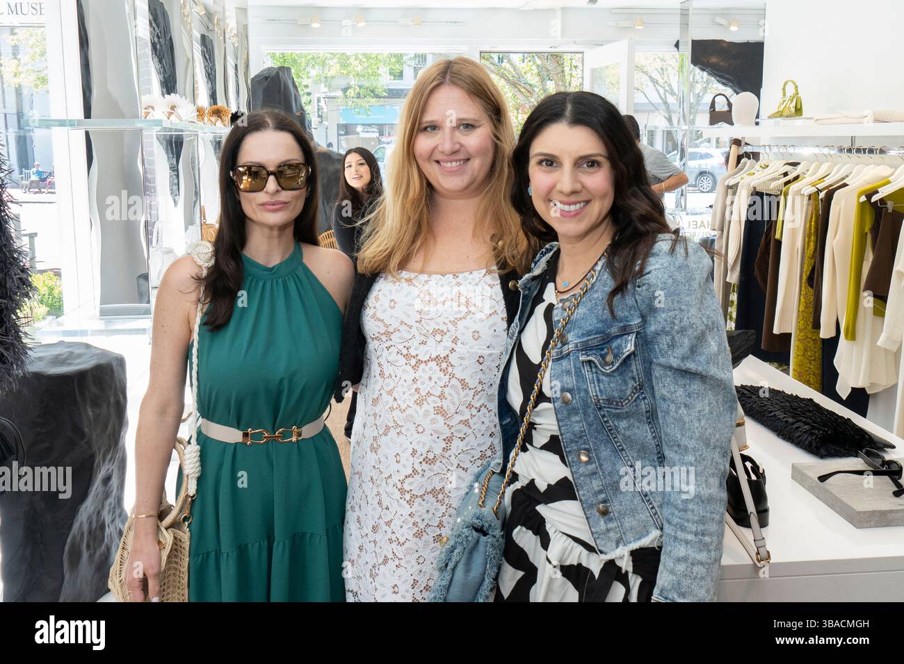 Guest, Jessica Mackin and Gina Valliades aattends the American Heart ...