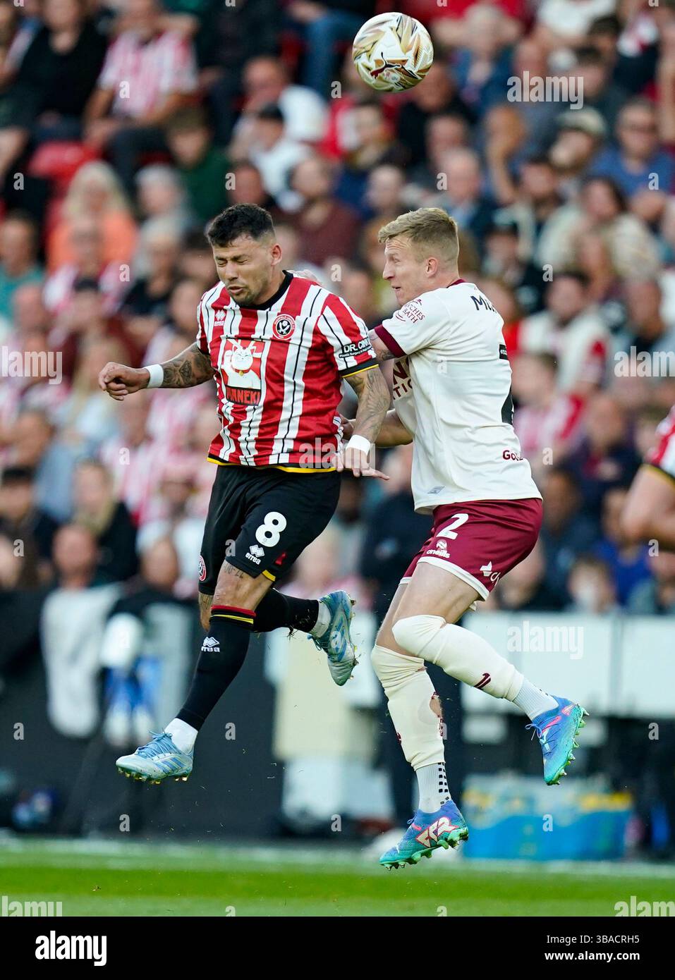 Sheffield United's Gustavo Hamer and Bristol City's Ross McCrorie ...
