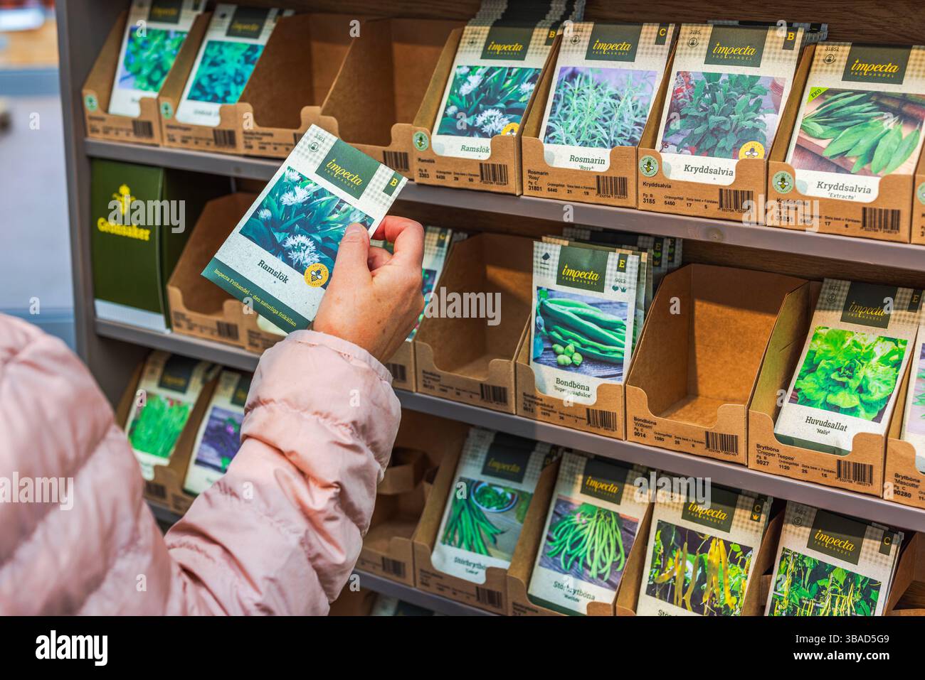 Woman holding seed packet while choosing vegetable and herb seeds from ...