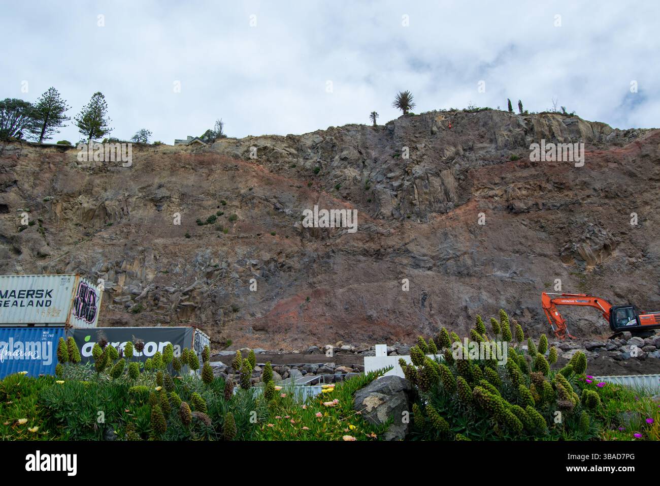 A rocky cliff with vegetation at the base, showing signs of erosion ...