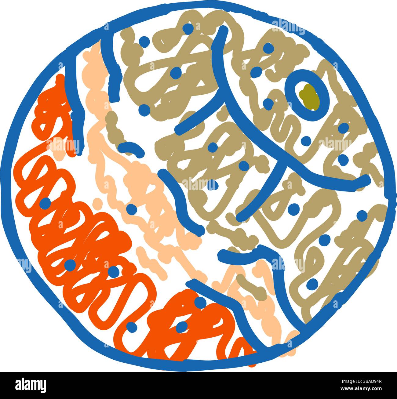 Moldy dirty Stock Vector Images - Alamy