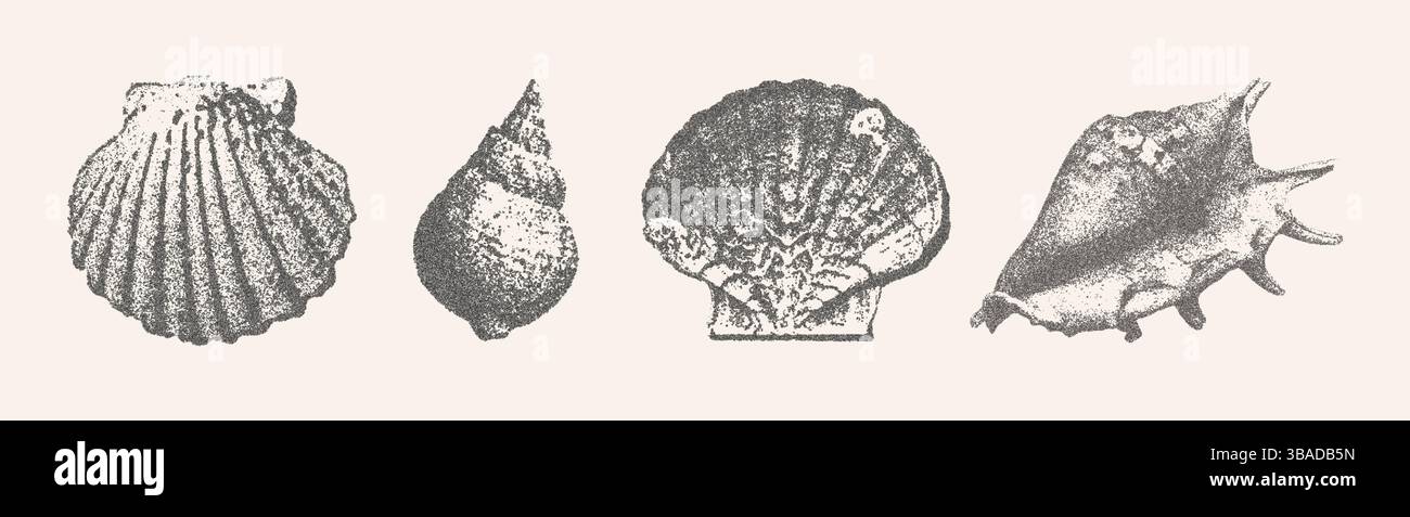 Seashells vector illustration collection. Trendy stippling photocopy ...