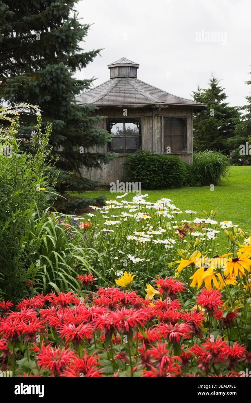 Red Monarda 'Cambridge Scarlet', yellow Rudbeckia 'Goldsturm ...
