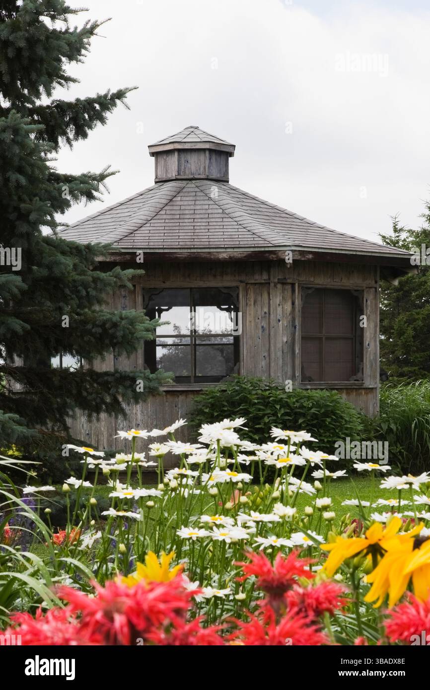 Red Monarda 'Cambridge Scarlet', yellow Rudbeckia 'Goldsturm ...
