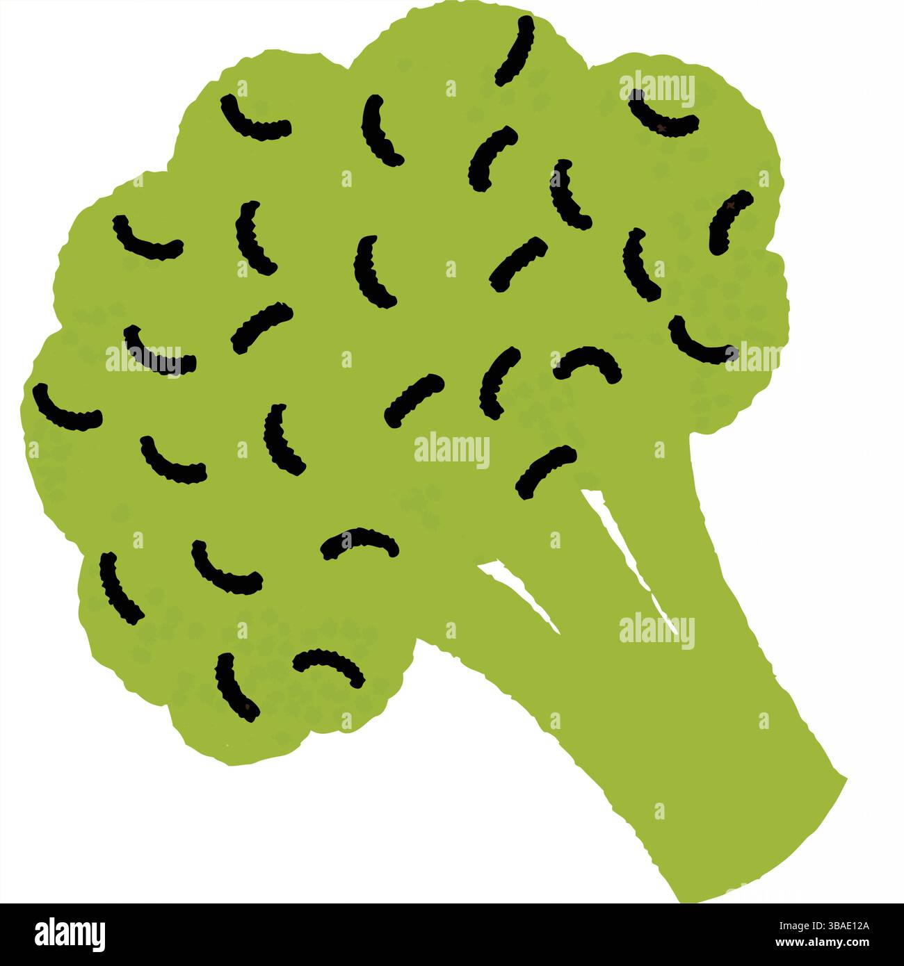 Broccoli Vector Art Fresh and Healthy Icons Stock Vector Image & Art ...
