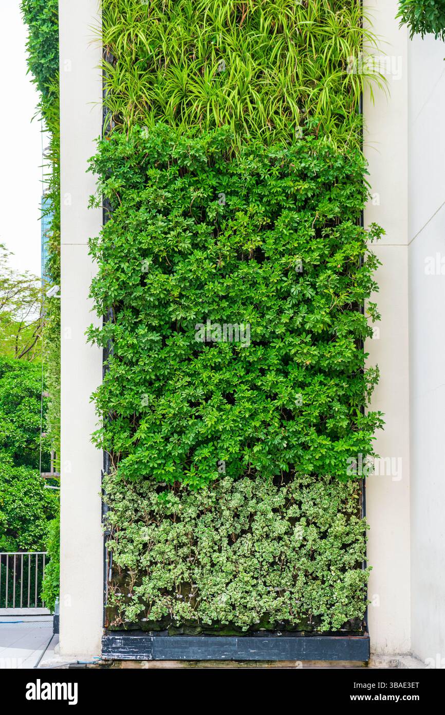 Modern architectural facade with vertical green walls of contemporary ...