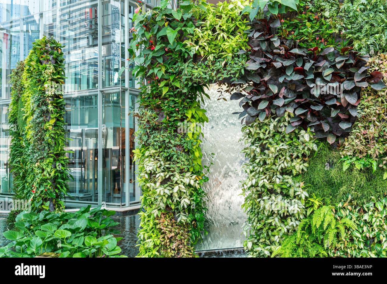 Lush green vertical garden with diverse plants surrounding modern glass waterfall in urban ...