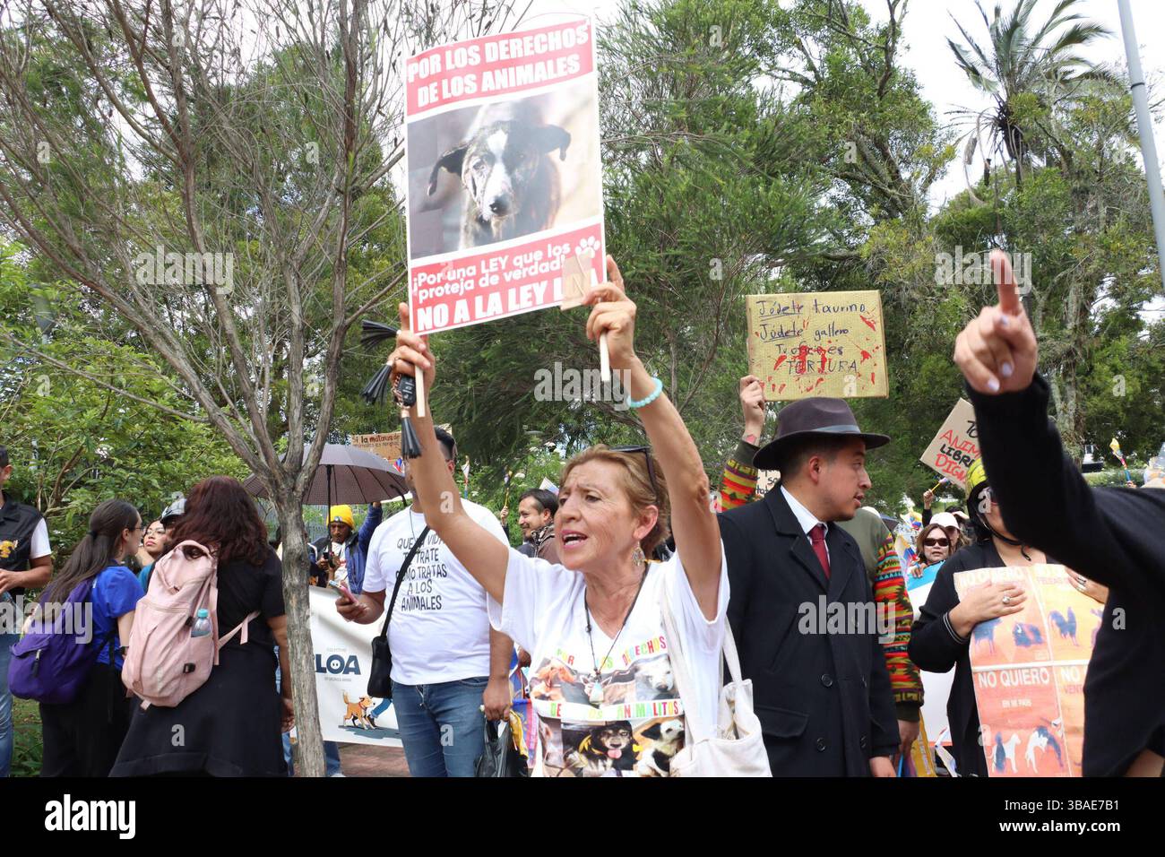 Last day of plenary sessions of the National Assembly Quito, Monday ...