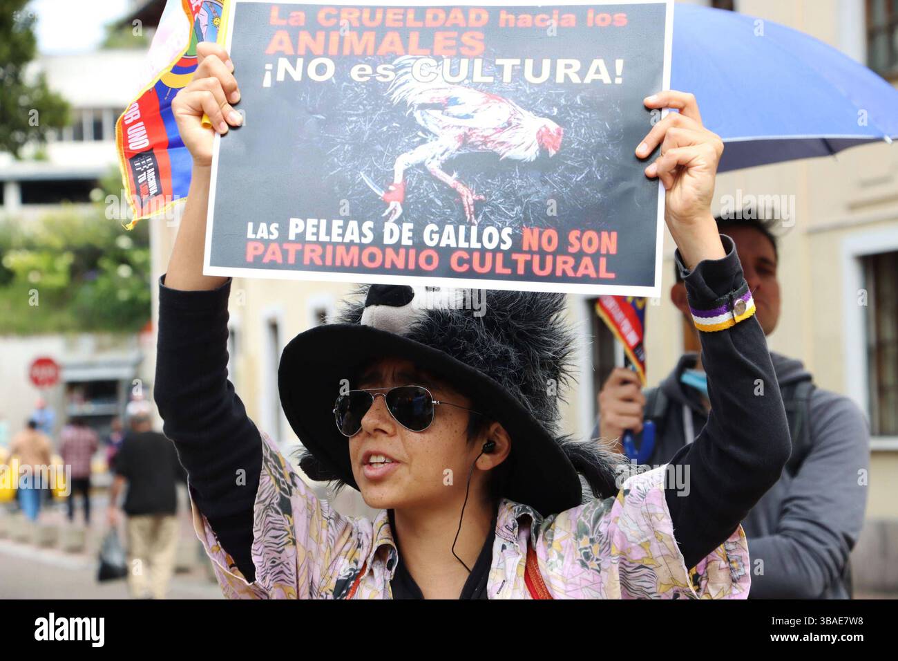 Last day of plenary sessions of the National Assembly Quito, Monday ...