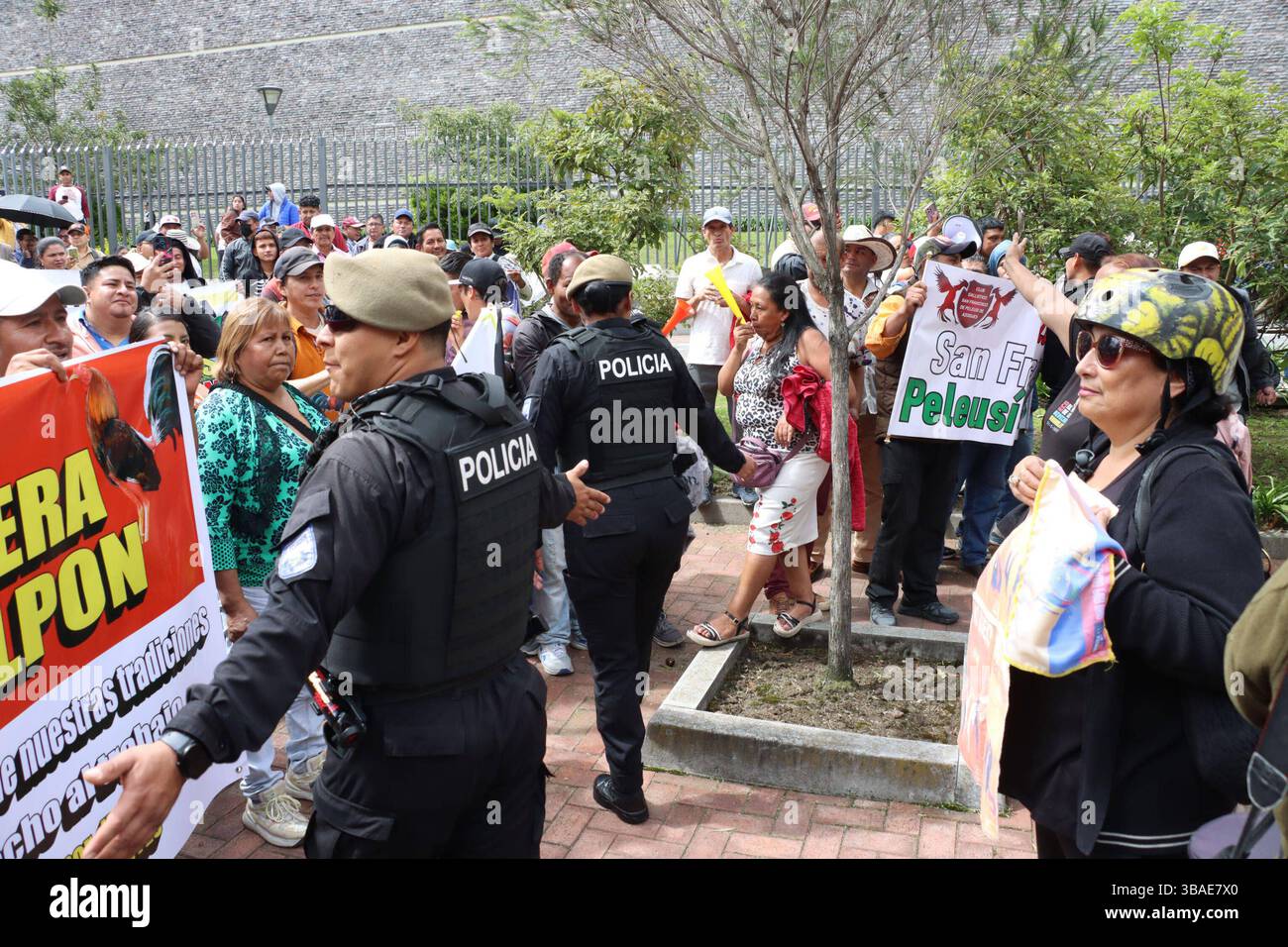 Last day of plenary sessions of the National Assembly Quito, Monday ...