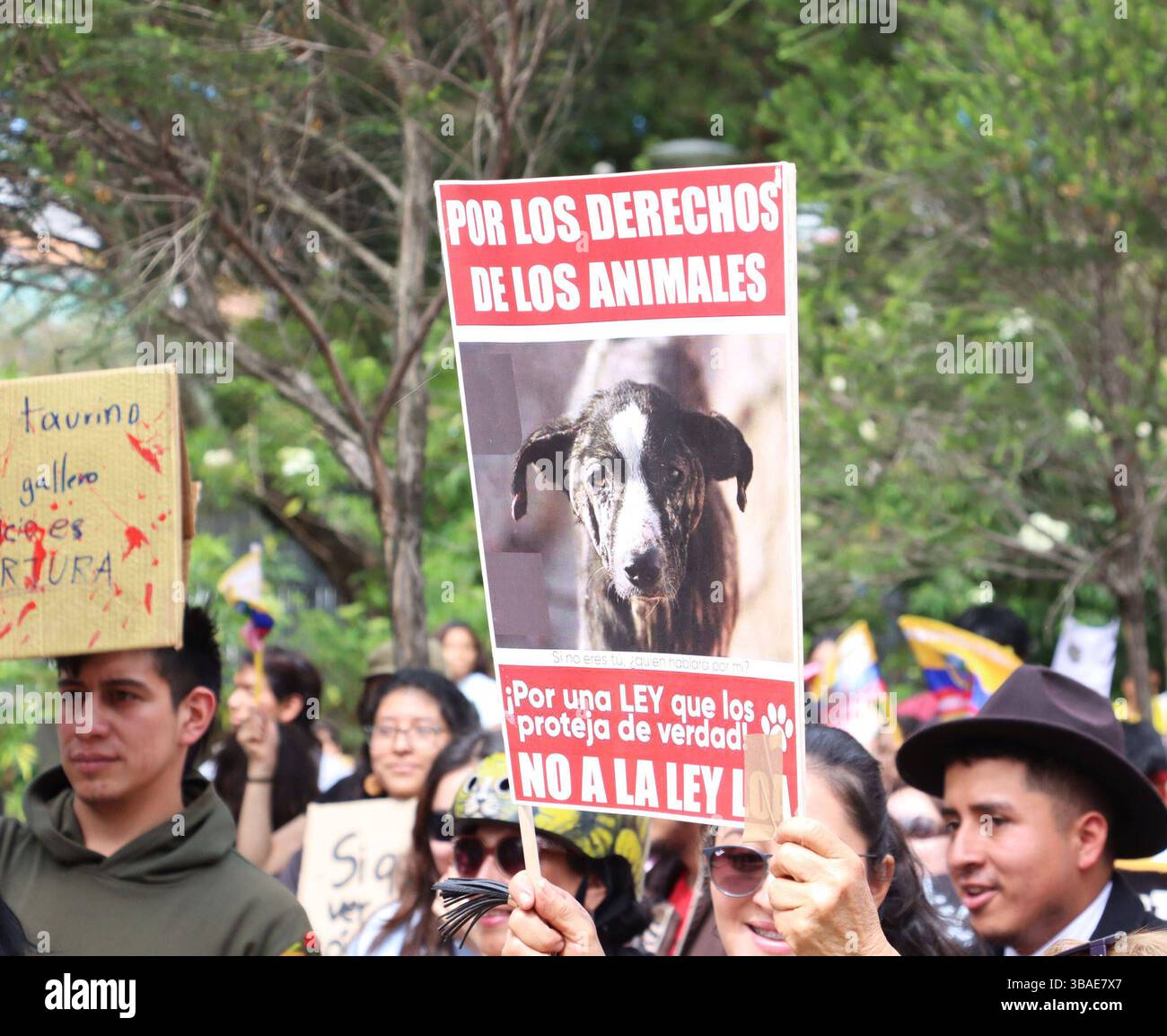 Last day of plenary sessions of the National Assembly Quito, Monday ...