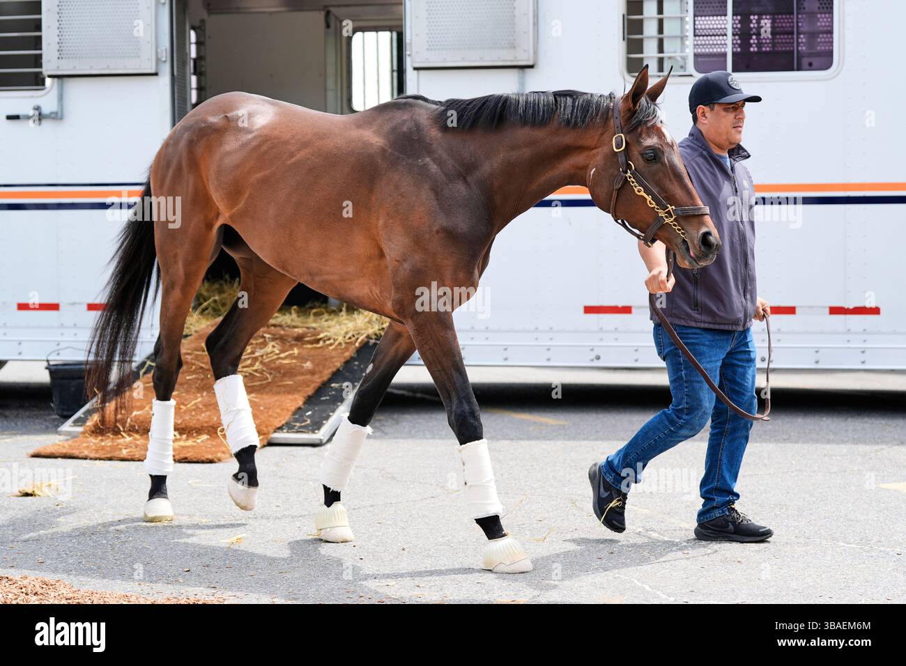 Black-Eyed Susan Stakes entrant Runnin N Gunnin arrives at Pimlico Race ...