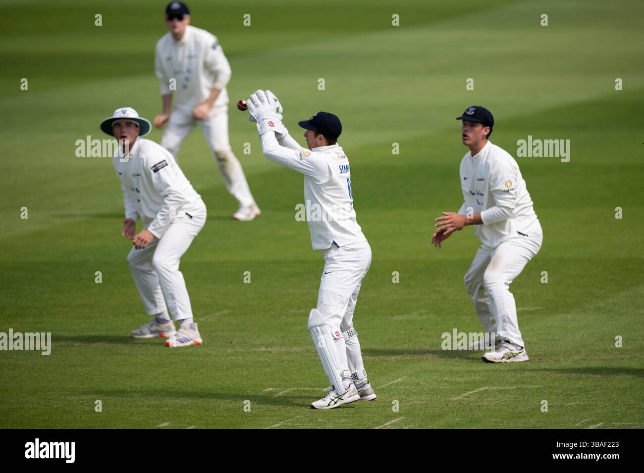 Ball and wicket hi-res stock photography and images - Alamy