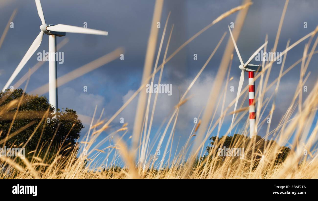 Two wind turbines immersed in hi-res stock photography and images - Alamy