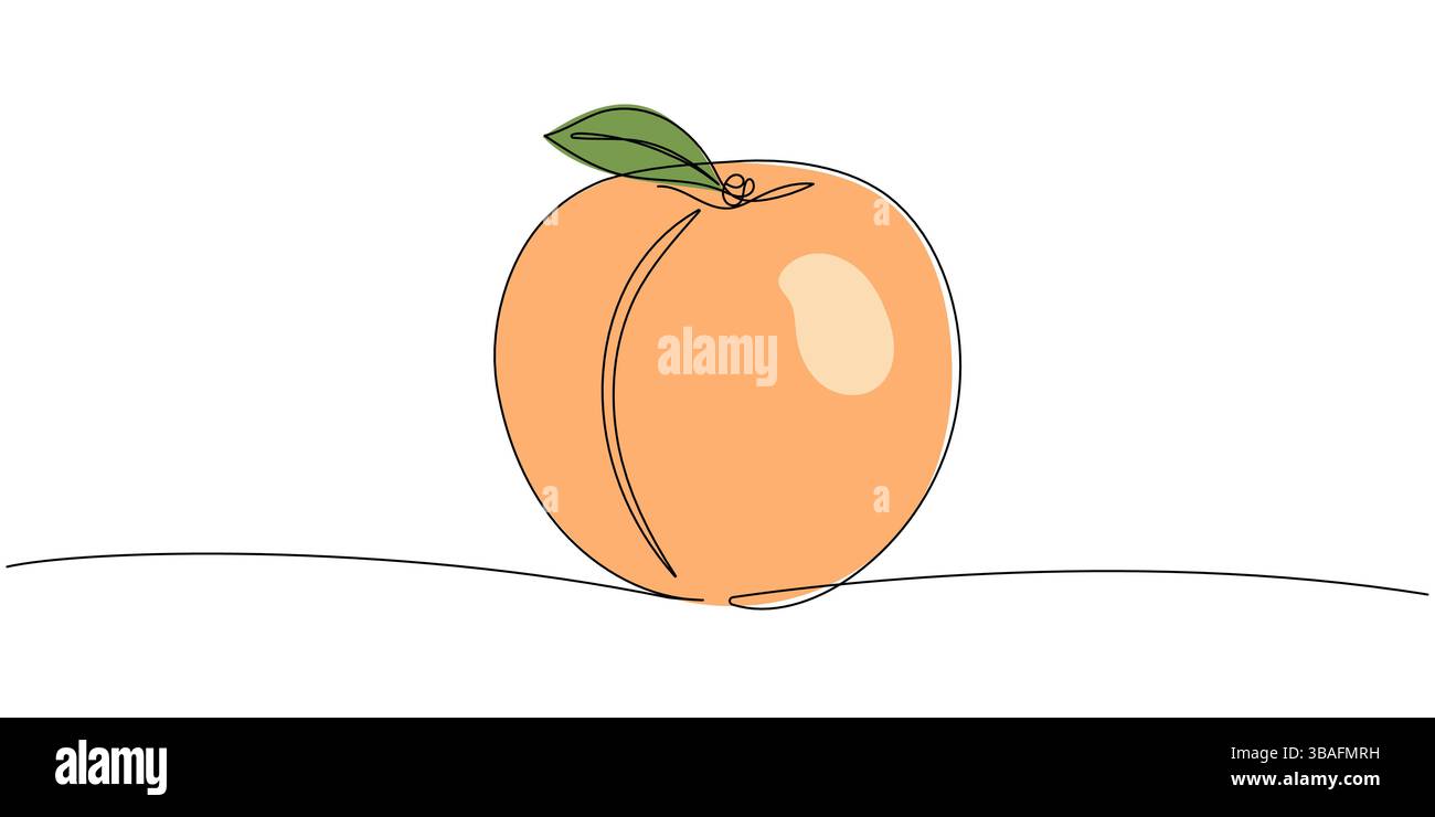 Continuous one line drawing peach. Vector illustration. Black line art ...