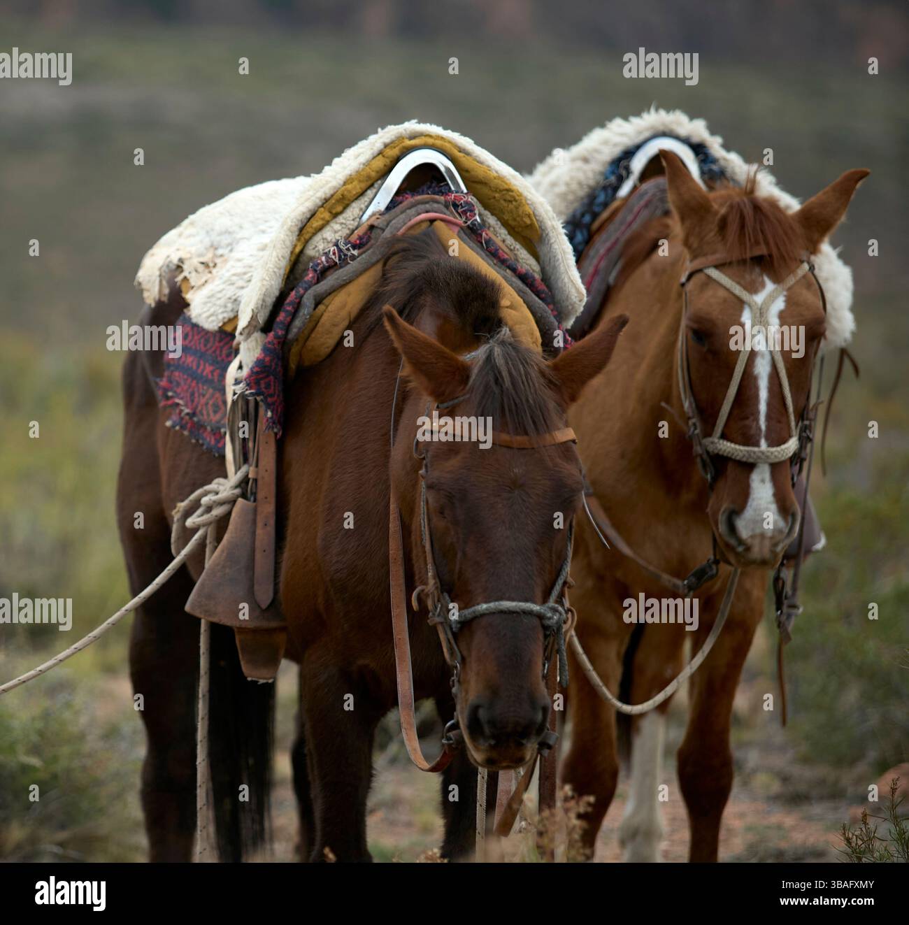 Cuerda cerca hi-res stock photography and images - Alamy