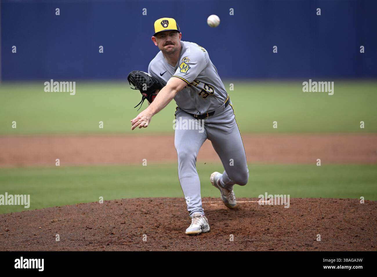 Milwaukee Brewers pitcher Tyler Alexander (33) throws to home plate ...