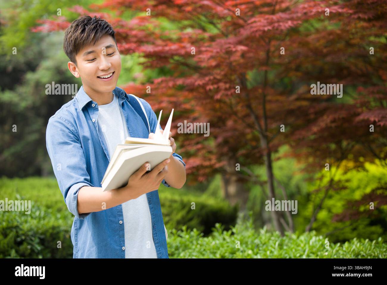 Male Chinese college student reading a book Stock Photo - Alamy