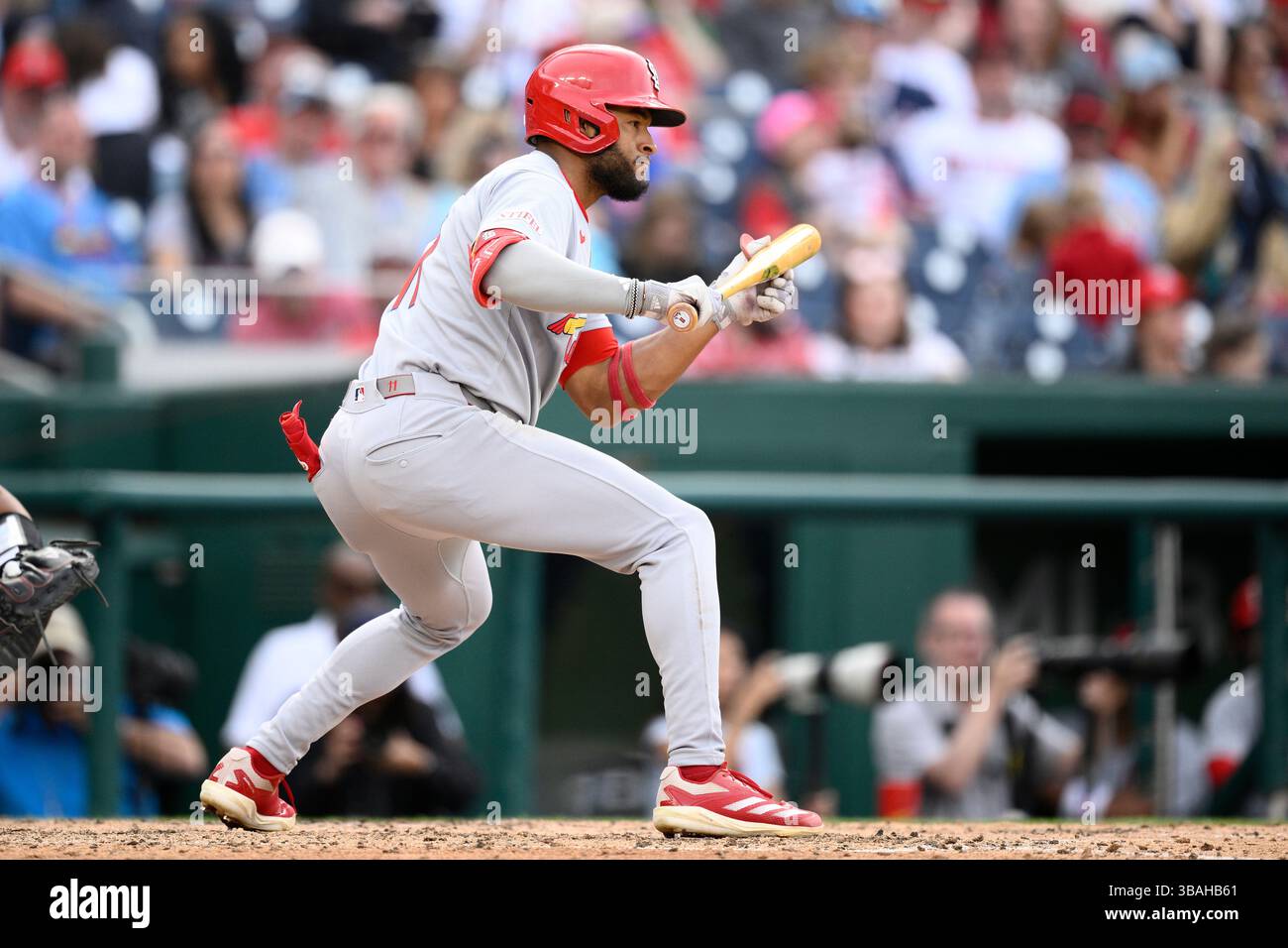 St. Louis Cardinals' Victor Scott II in action during a baseball game ...