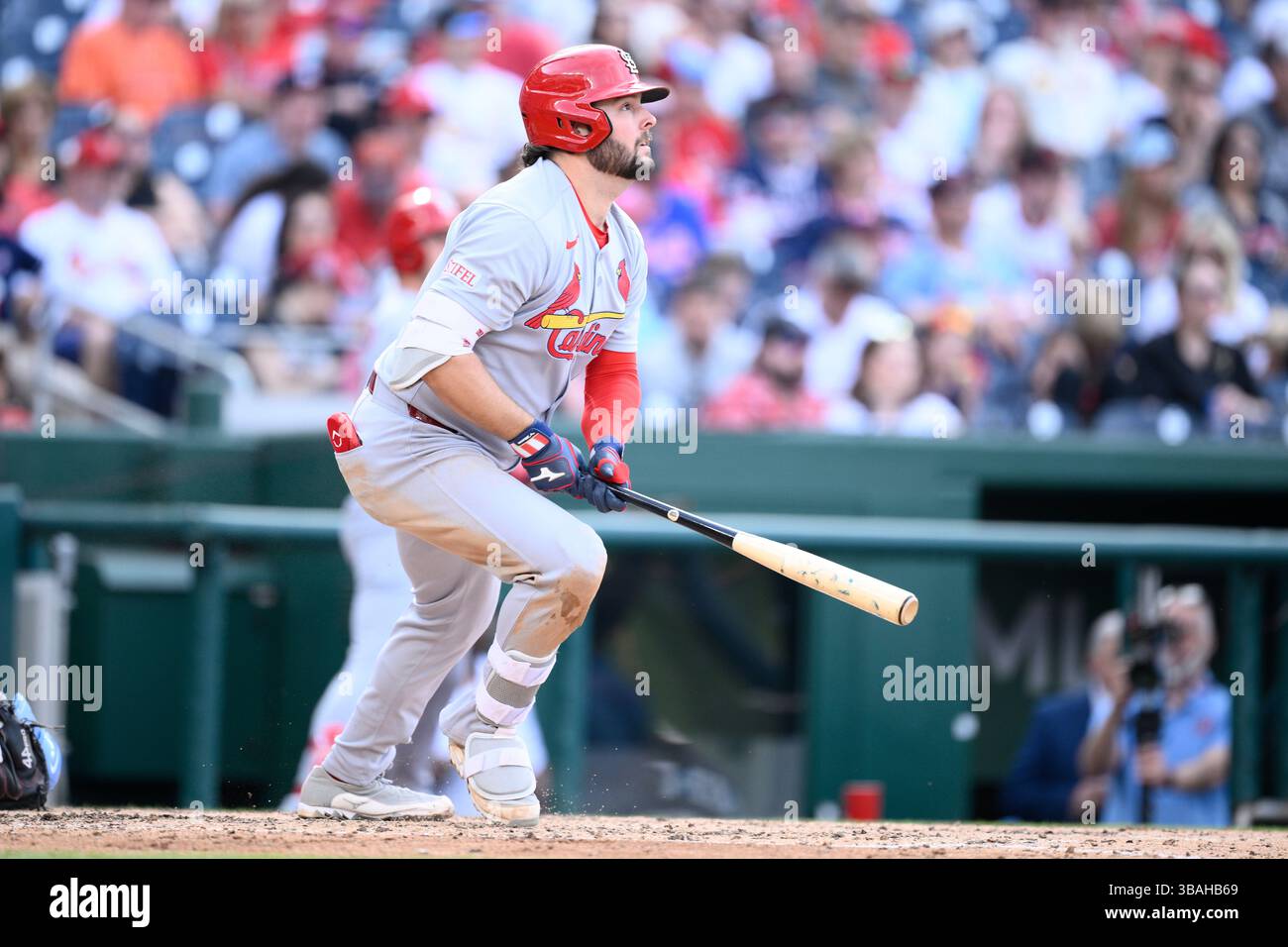 St. Louis Cardinals' Alec Burleson in action during a baseball game ...
