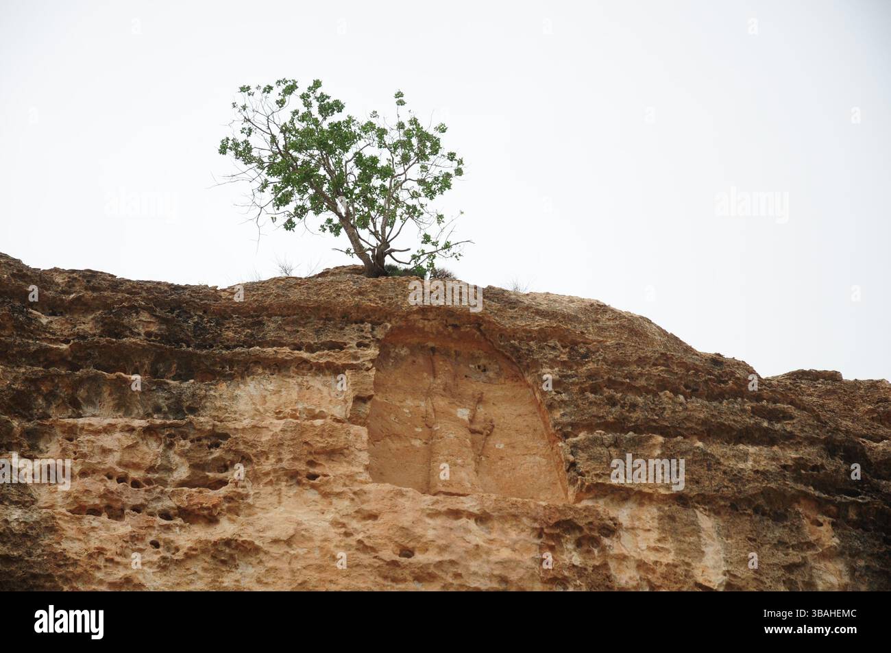 Khinis. 12th May, 2025. This photo taken on May 12, 2025 shows an ...