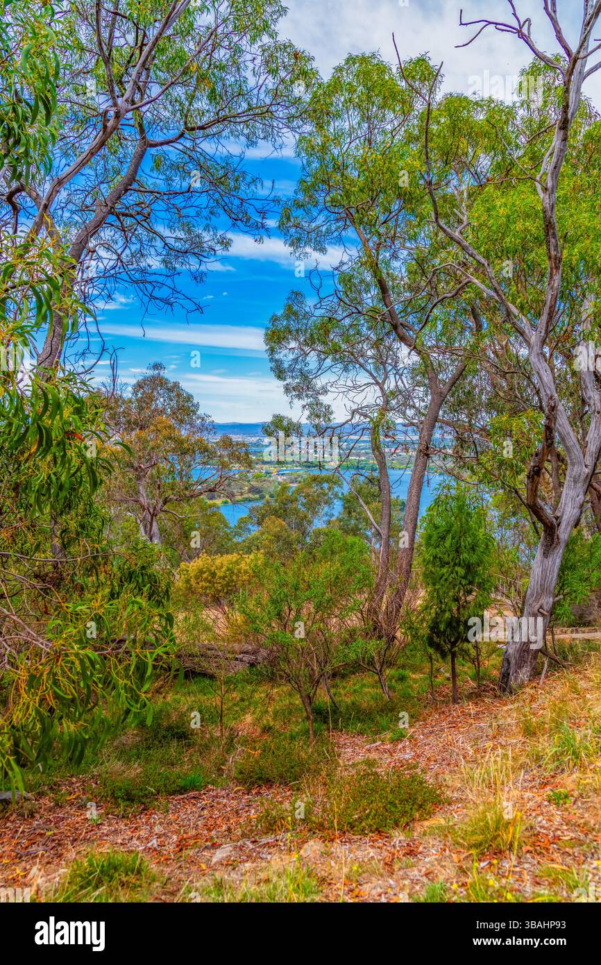 Scenic views from the lookout on Black Mountain over Australia's ...