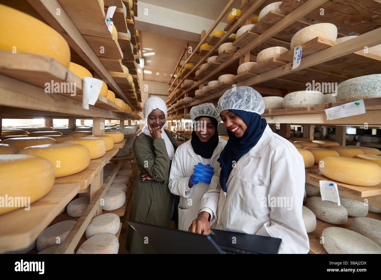 Smiling Middle Eastern female workers in hijab working with Muslim ...