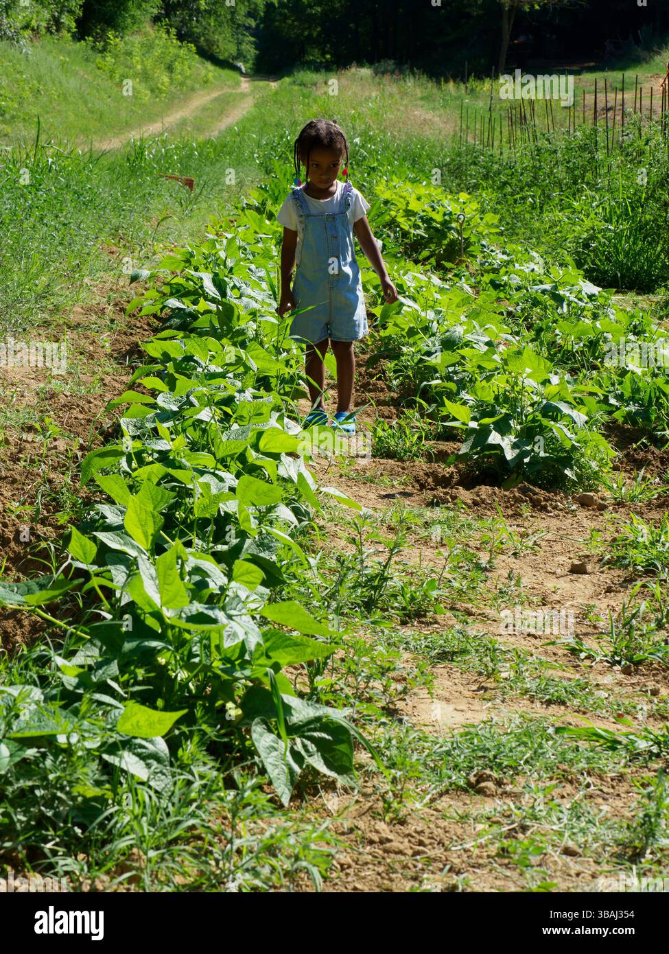 Black girl walking on farm during daytime Stock Photo - Alamy