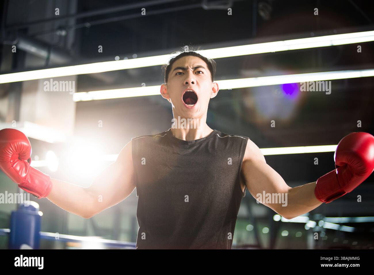 Chinese boxer cheering in boxing ring Stock Photo - Alamy