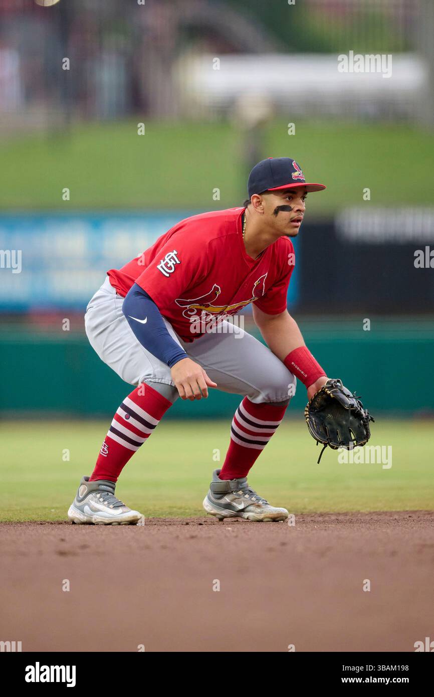 Springfield Cardinals shortstop Jeremy Rivas (8) during an MiLB Texas ...