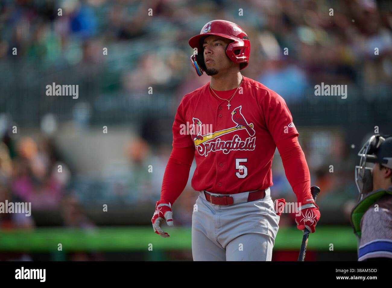 Springfield Cardinals Chase Davis (5) bats during an MiLB Texas League ...