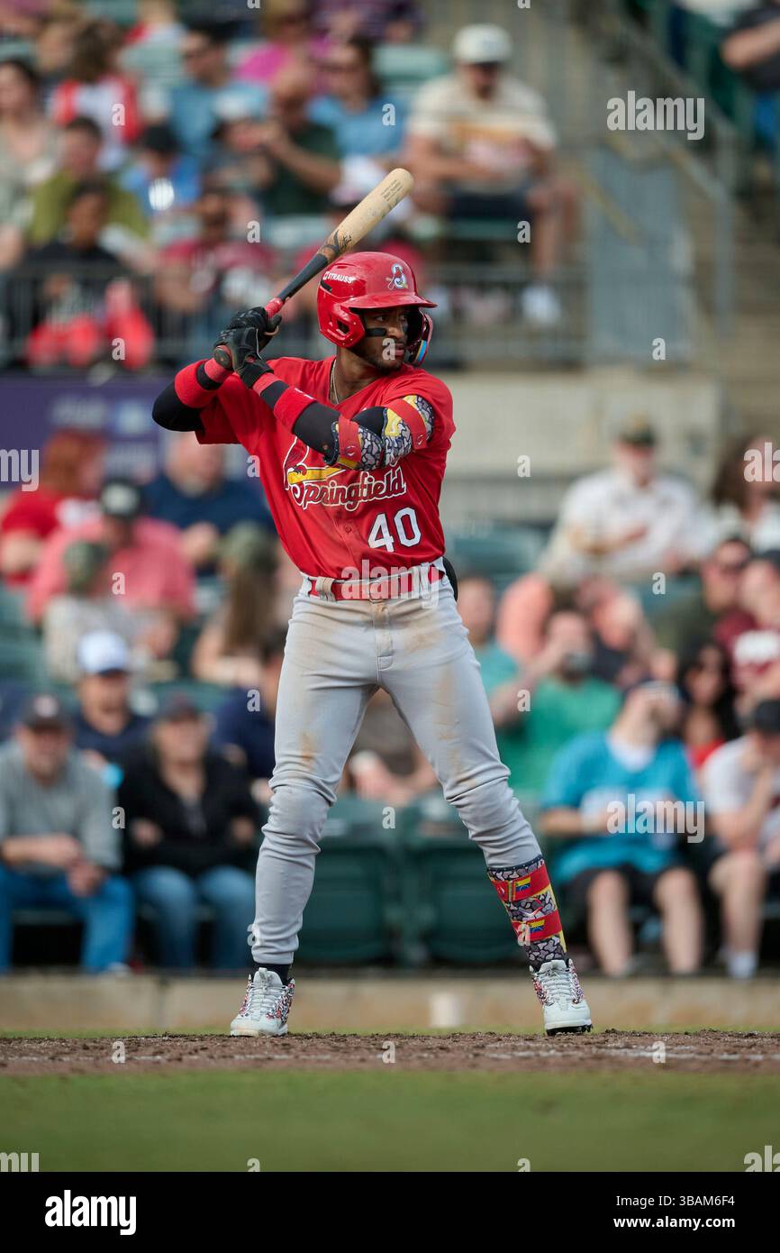 Springfield Cardinals Miguel Ugueto (40) bats during an MiLB Texas ...