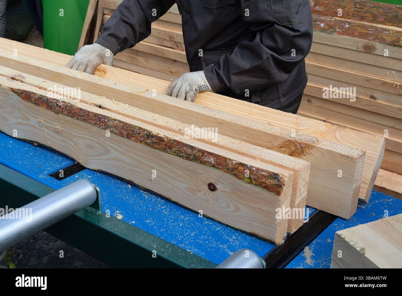 Process sawing board chain saw hi-res stock photography and images - Alamy
