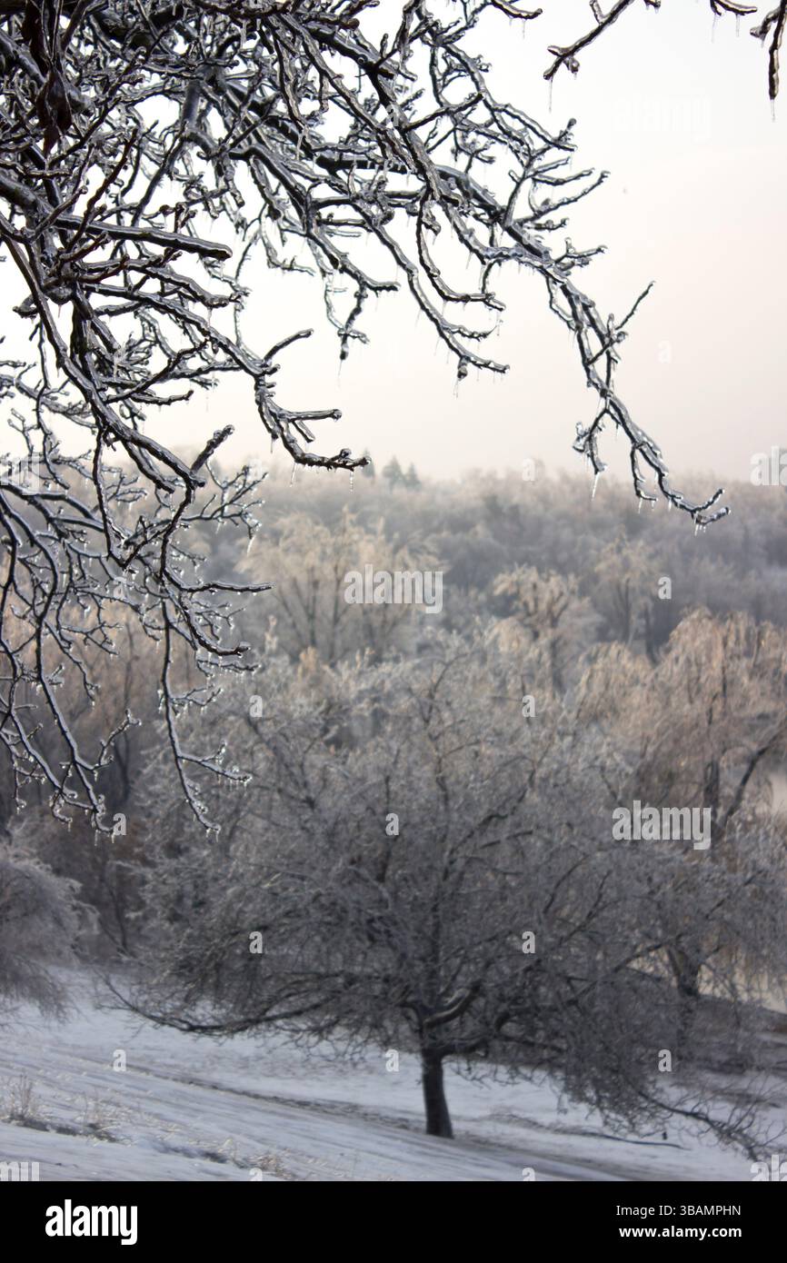 Narnia landscape hi-res stock photography and images - Alamy