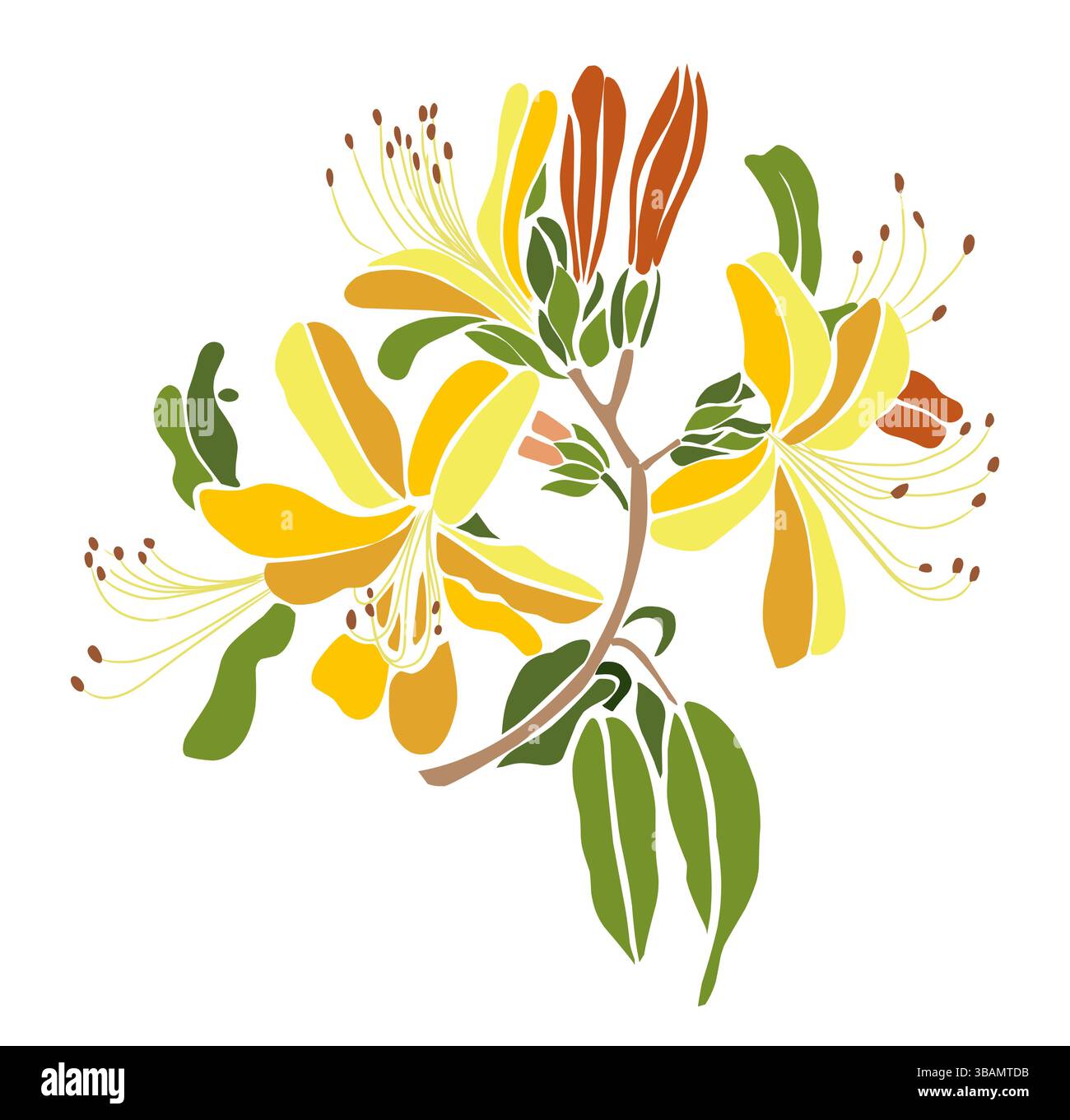 June bouquet Stock Vector Images - Alamy