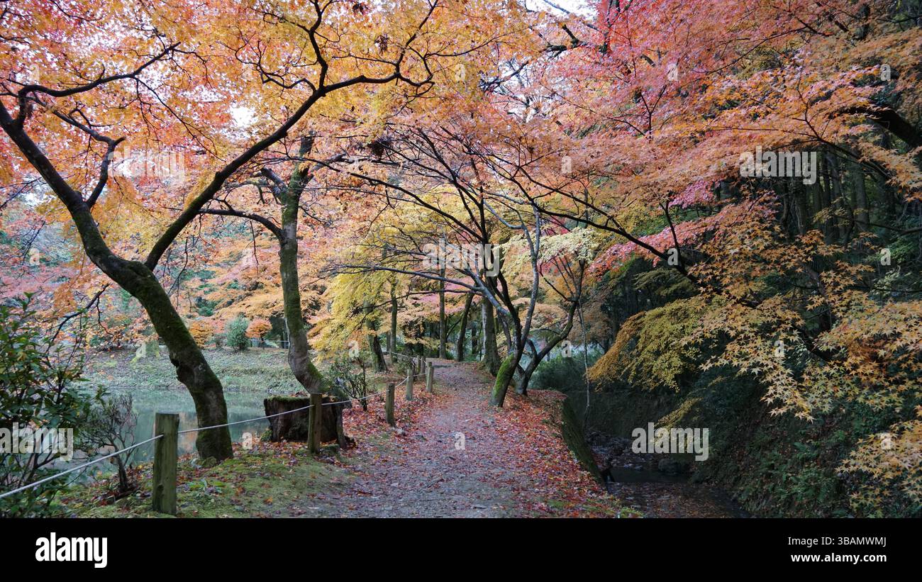Crimson Leaves and Zen Garden at Eihoji Temple, Gifu, Japan Stock Photo ...