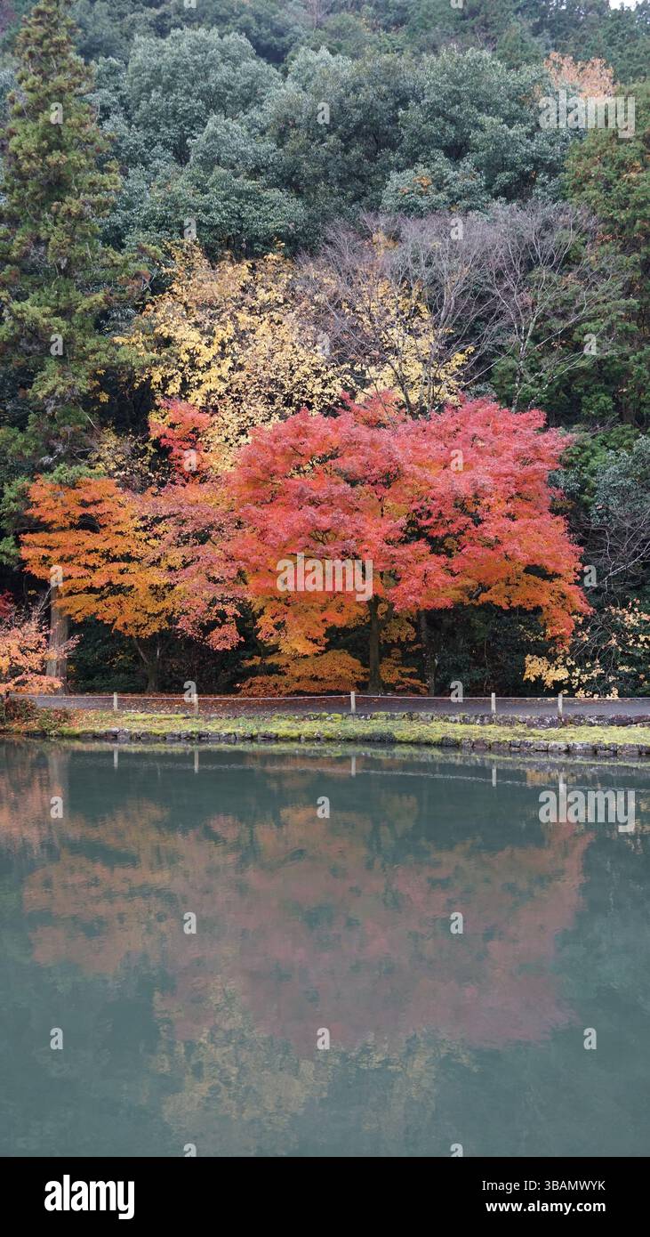 Crimson Leaves and Zen Garden at Eihoji Temple, Gifu, Japan Stock Photo ...
