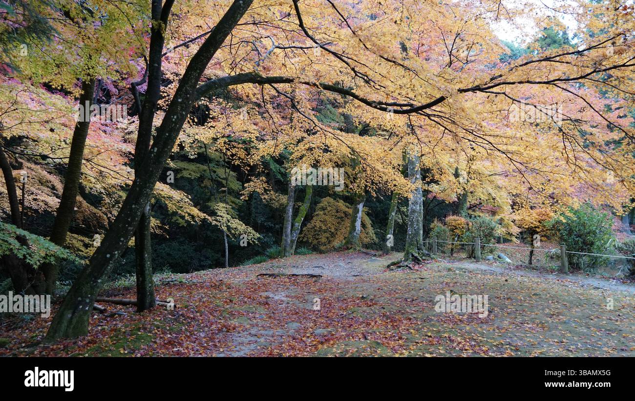 Crimson Leaves and Zen Garden at Eihoji Temple, Gifu, Japan Stock Photo ...