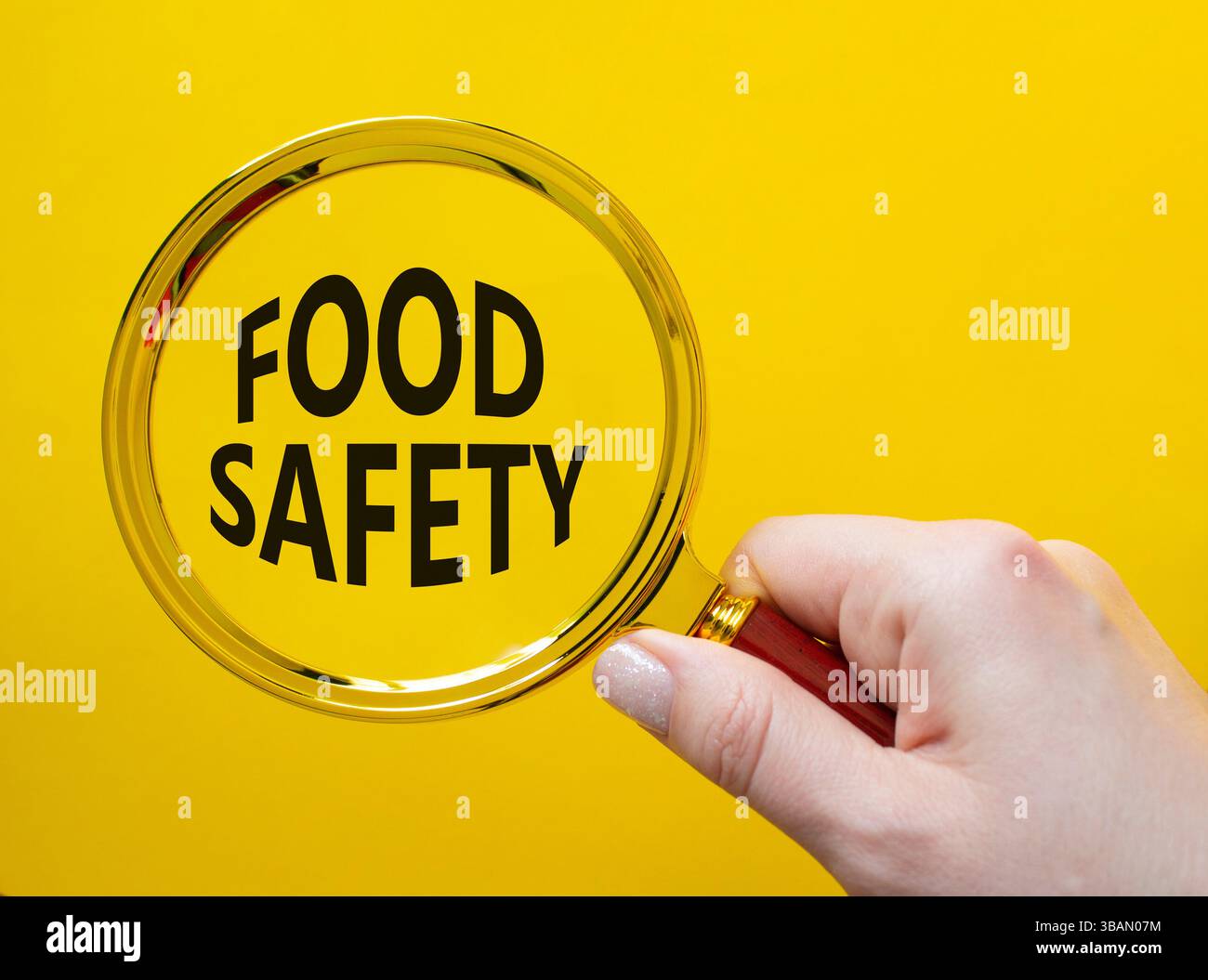 Food Safety symbol. Magnifying glass with words Food Safety. Beautiful ...