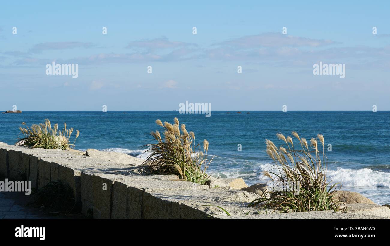 Coastal Landscape in Tahara City, Aichi, Japan Stock Photo - Alamy