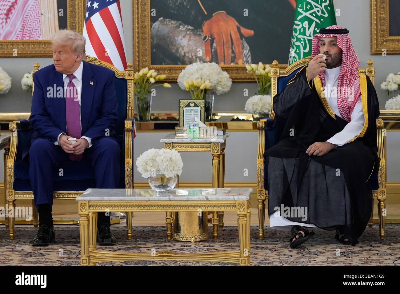 President Donald Trump and Saudi Crown Prince Mohammed bin Salman speak ...