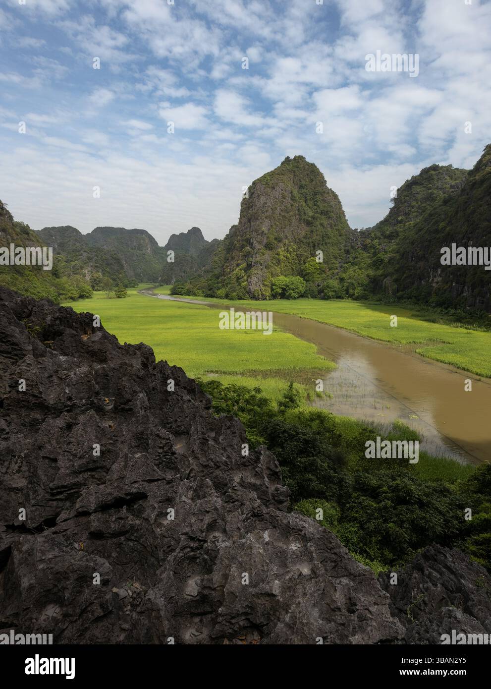 Iconic viewpoint of a canals among the rice fields and scenic limestone ...