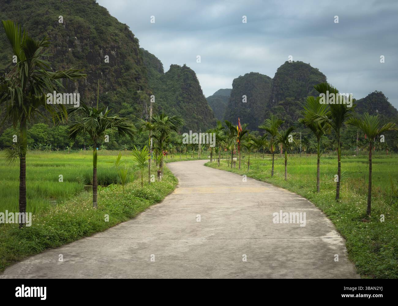Scenic path among rice fields and limestone mountains of Tam Coc area ...