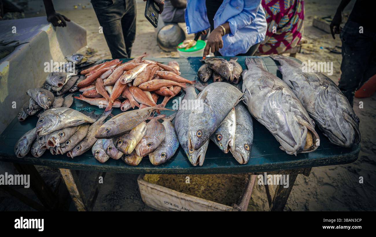 FILE - Various species of fish are displayed at the Soumbedioune fish ...