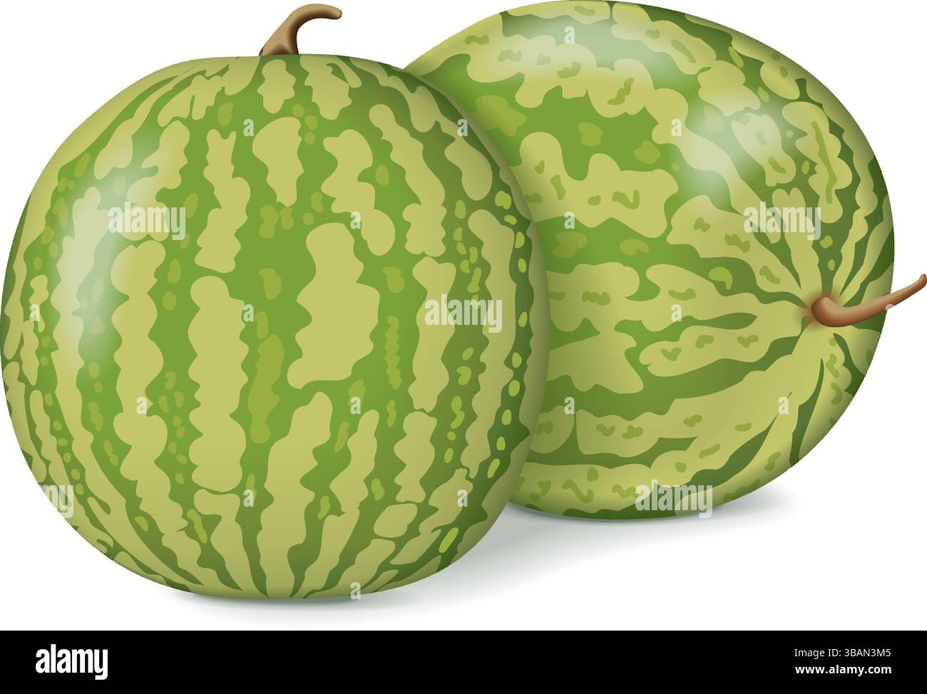 Group of Yellow Doll Watermelon. Citrullus lanatus. Fruits and ...