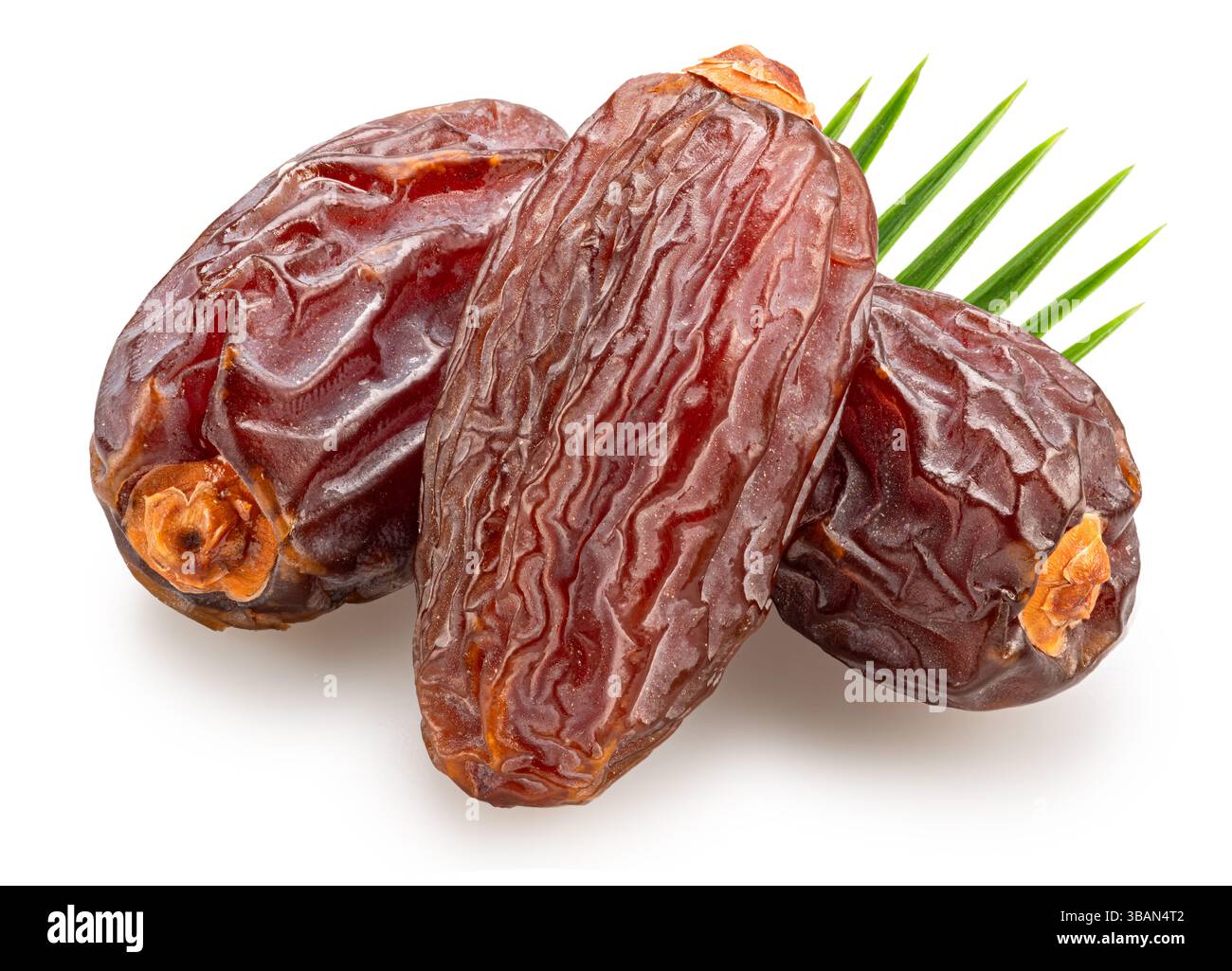 Three semi-dried dates or date palm fruits and palm leaves behind ...