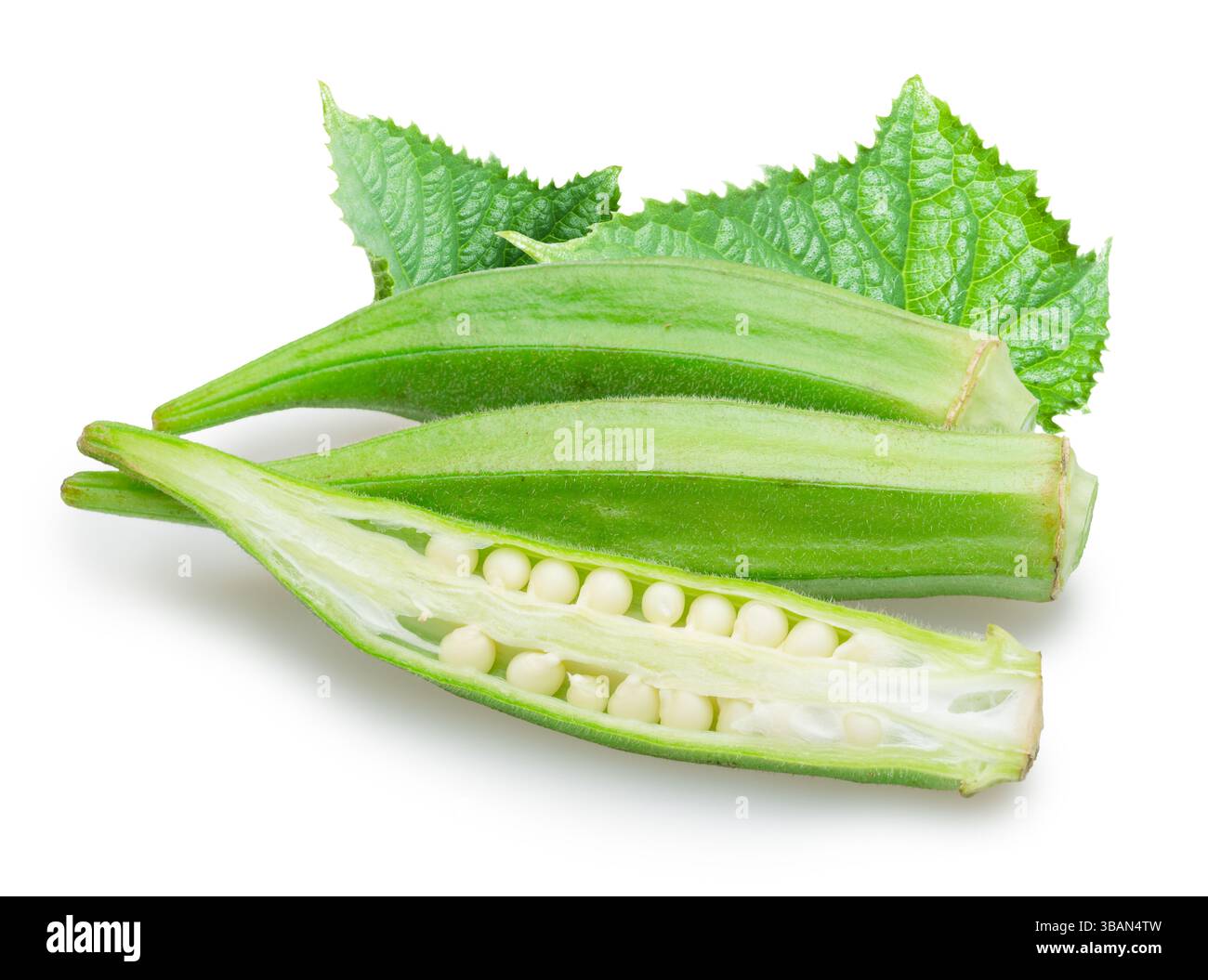 Okra green seed pods, and and longitudinal cut of okra pod isolated on ...